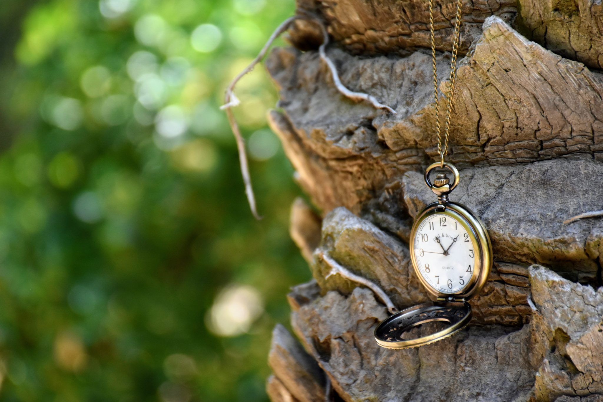 Cómo hacer fotos con fondo desenfocado - La Fotografía Fácil